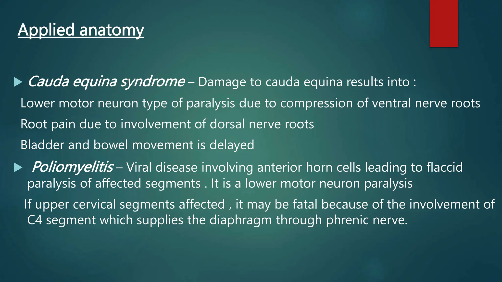 Spinal cord Gross anatomy with Clinical Anatomy.pptx