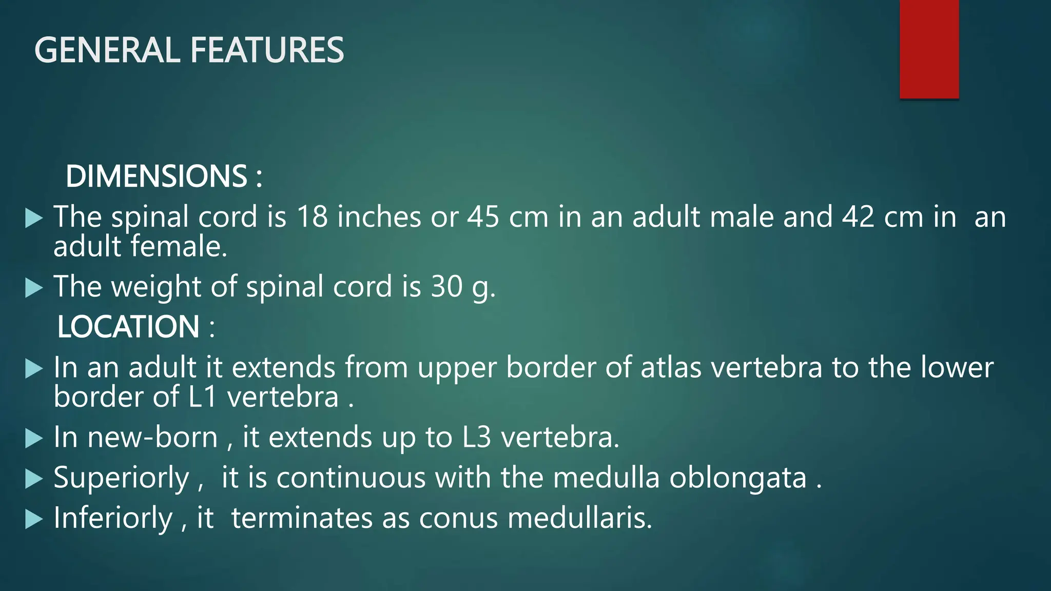 Spinal cord Gross anatomy with Clinical Anatomy.pptx