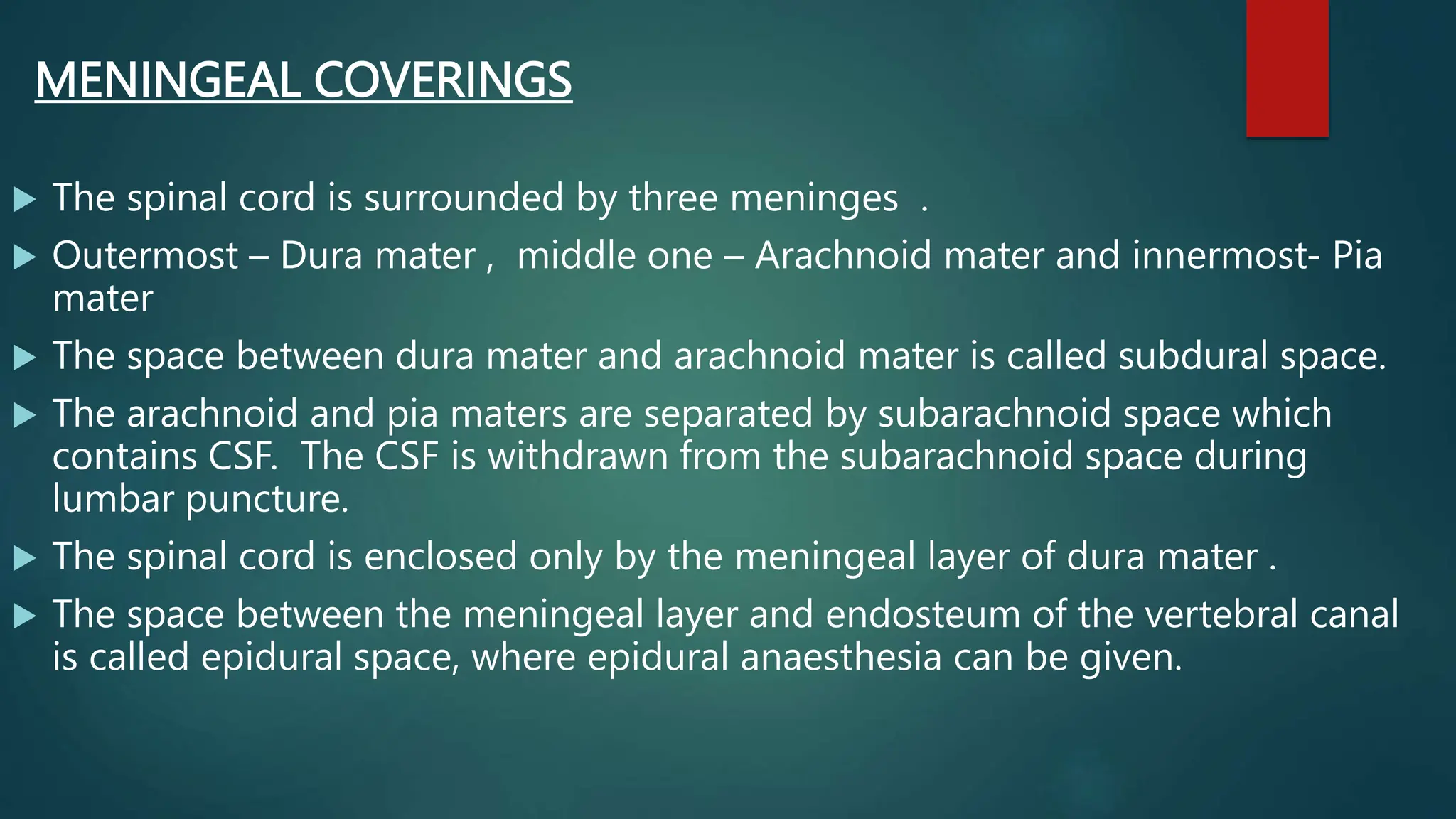 Spinal cord Gross anatomy with Clinical Anatomy.pptx