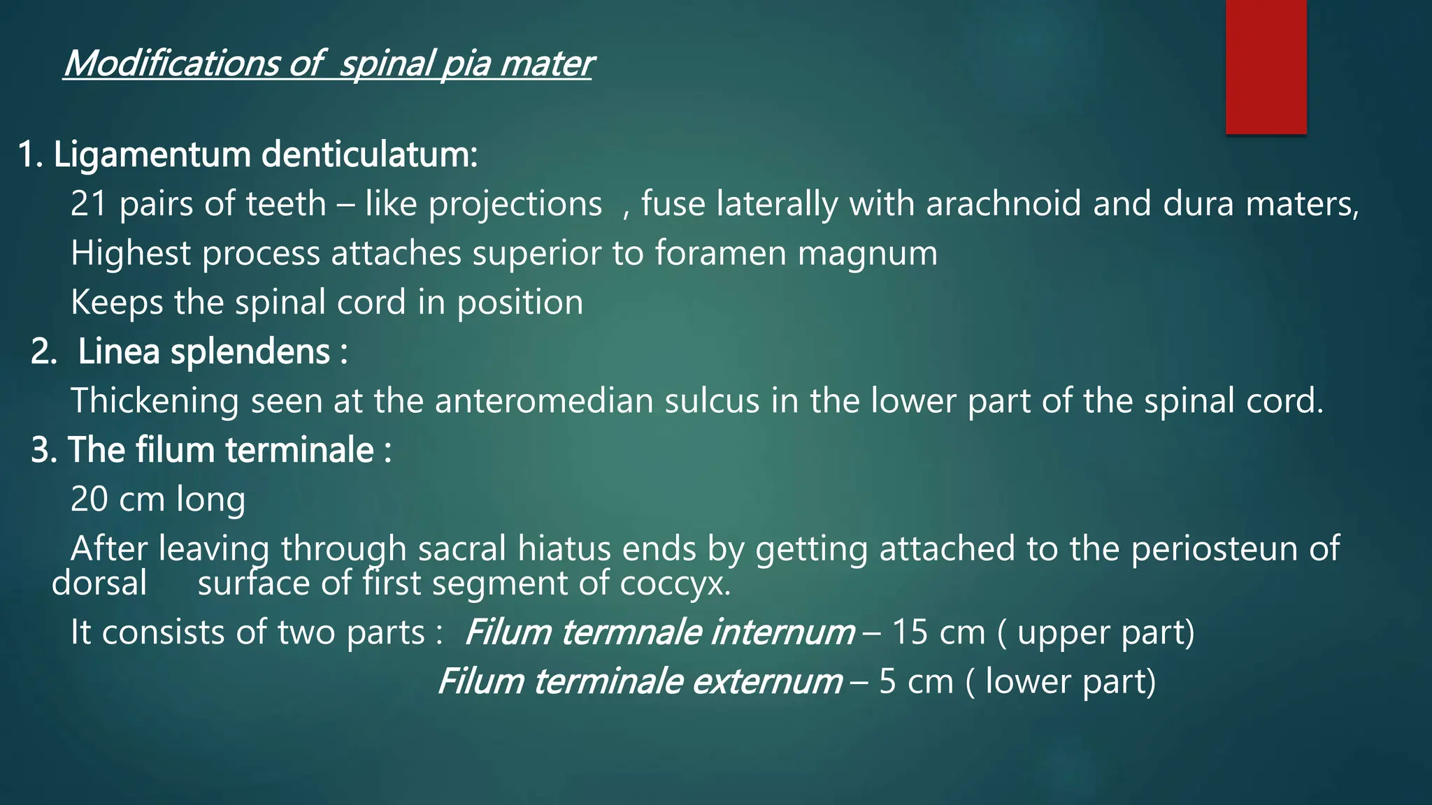 Spinal cord Gross anatomy with Clinical Anatomy.pptx | Death, Injury ...