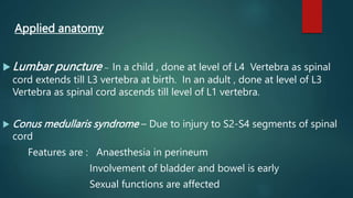 Spinal cord Gross anatomy with Clinical Anatomy.pptx