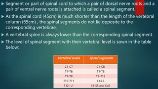 Spinal cord Gross anatomy with Clinical Anatomy.pptx