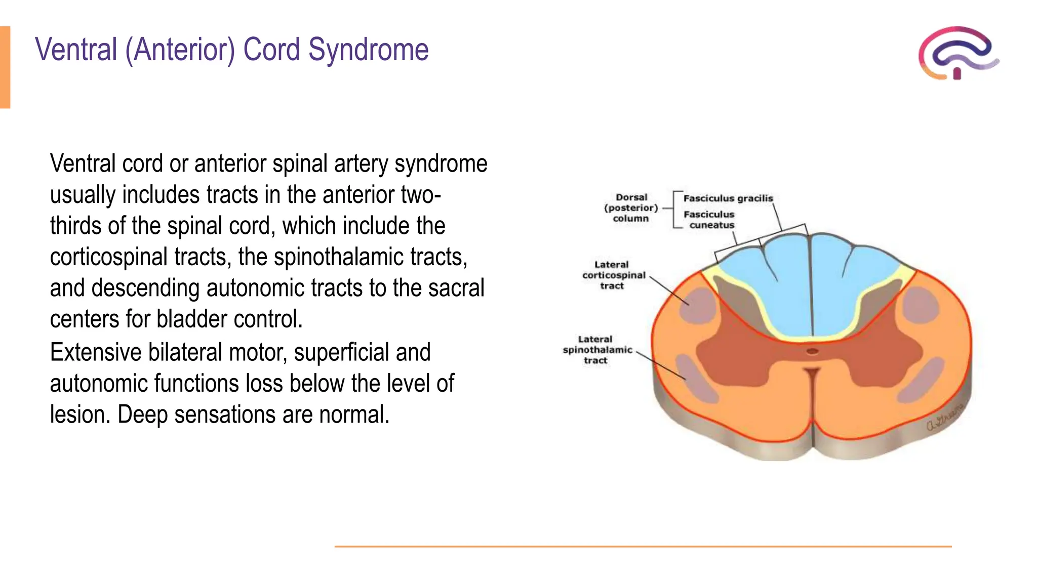 spinal cord disorders and paraplegia . | PPTX