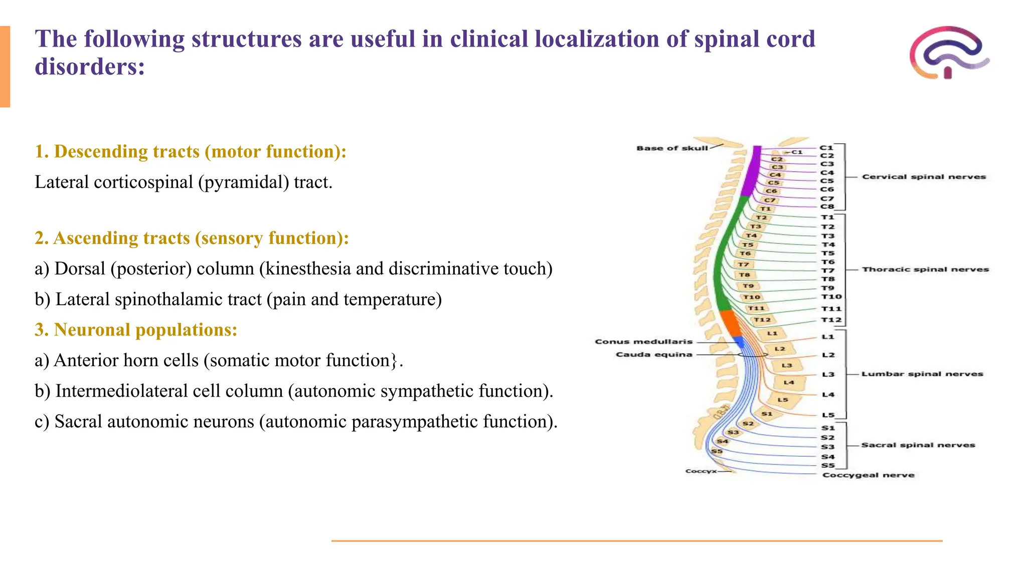 spinal cord disorders and paraplegia . | PPTX