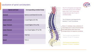 spinal cord disorders and paraplegia . | PPTX