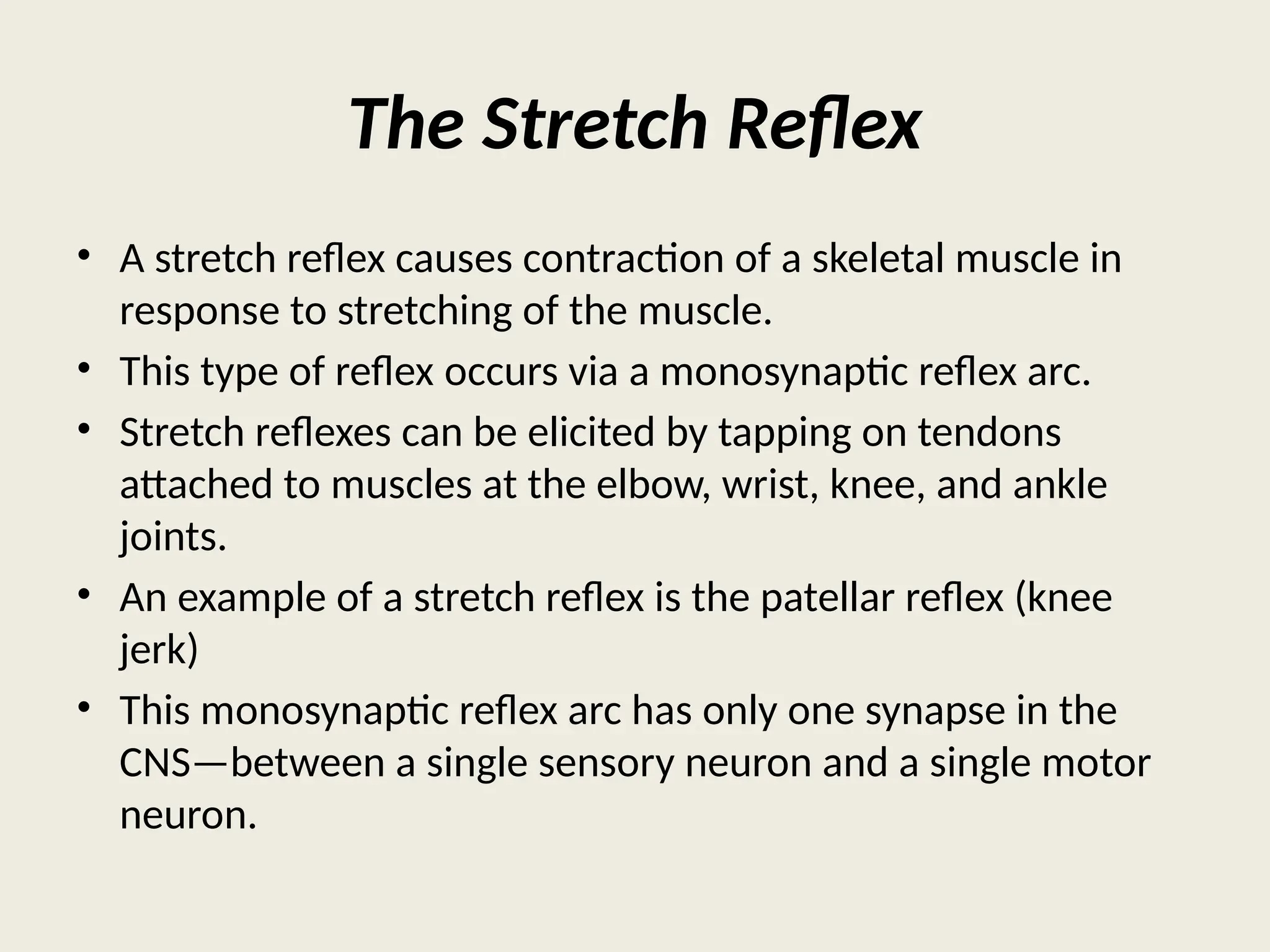 Spinal cord. Spinal cord anatomy and physiology, spinal nerves, reflex ...