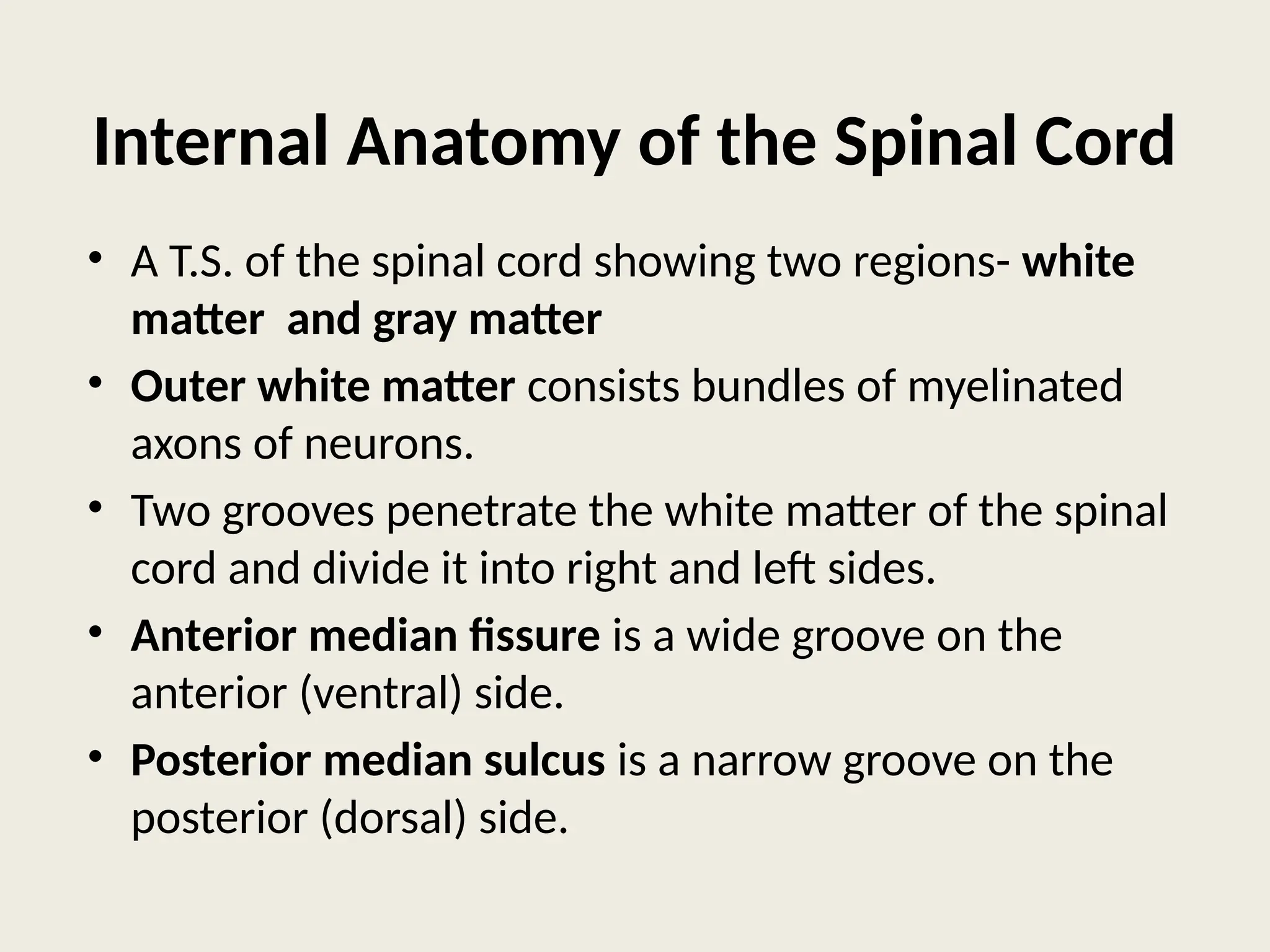 Spinal cord. Spinal cord anatomy and physiology, spinal nerves, reflex ...
