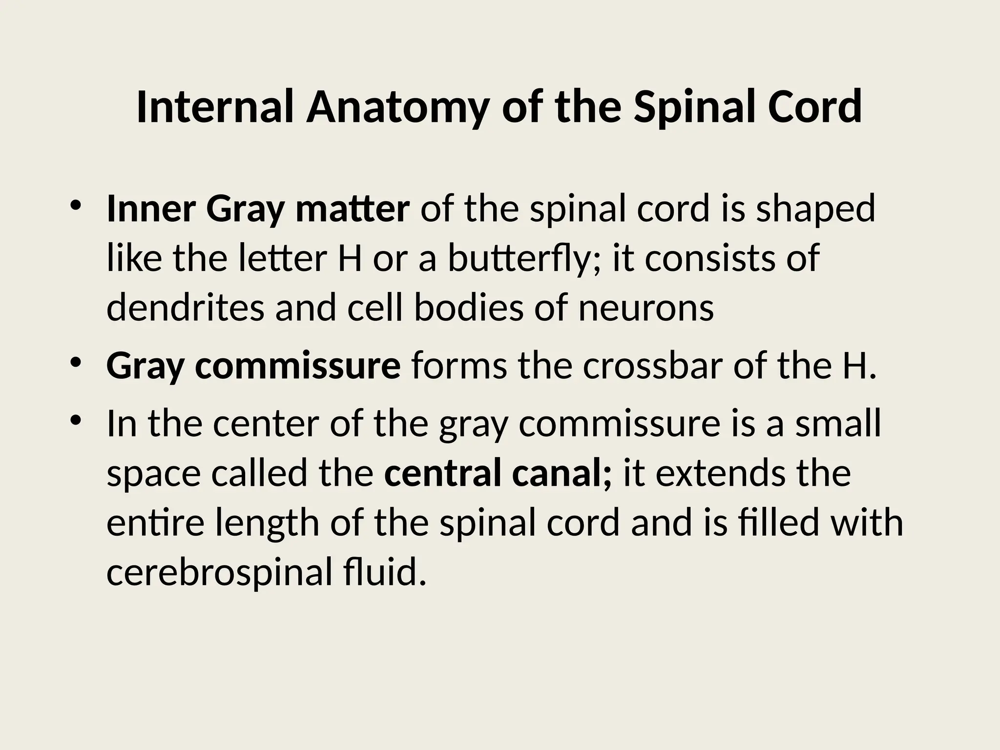 Spinal cord. Spinal cord anatomy and physiology, spinal nerves, reflex ...