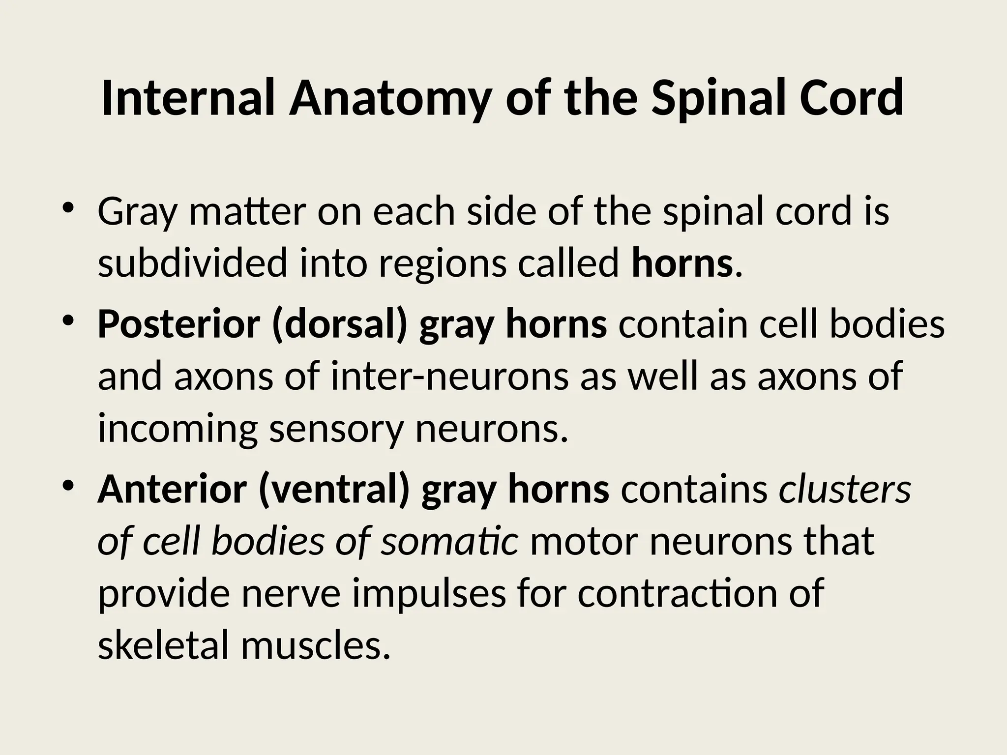 Spinal cord. Spinal cord anatomy and physiology, spinal nerves, reflex ...