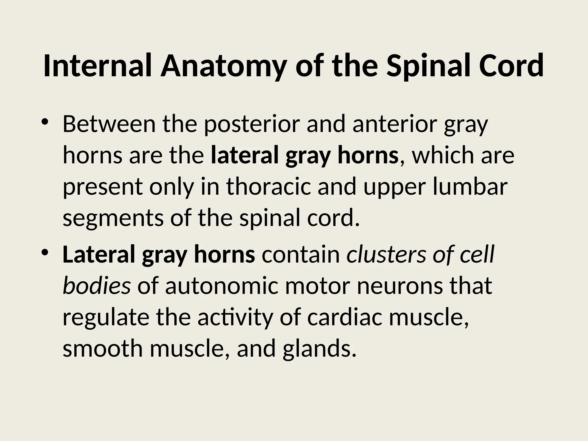 Spinal cord. Spinal cord anatomy and physiology, spinal nerves, reflex ...