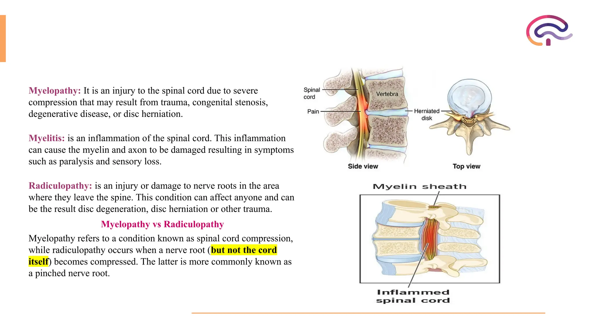 spinal cord disorders (Myelopathies and radiculoapthies) | PPTX