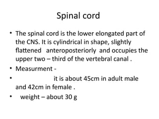 Anatomical study of human Spinal cord.pptx