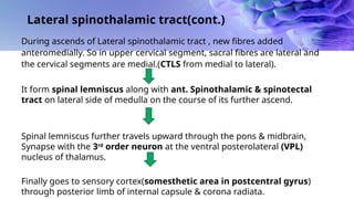 Spinal Cord Anatomy Disease Tracts Fibres | PPTX