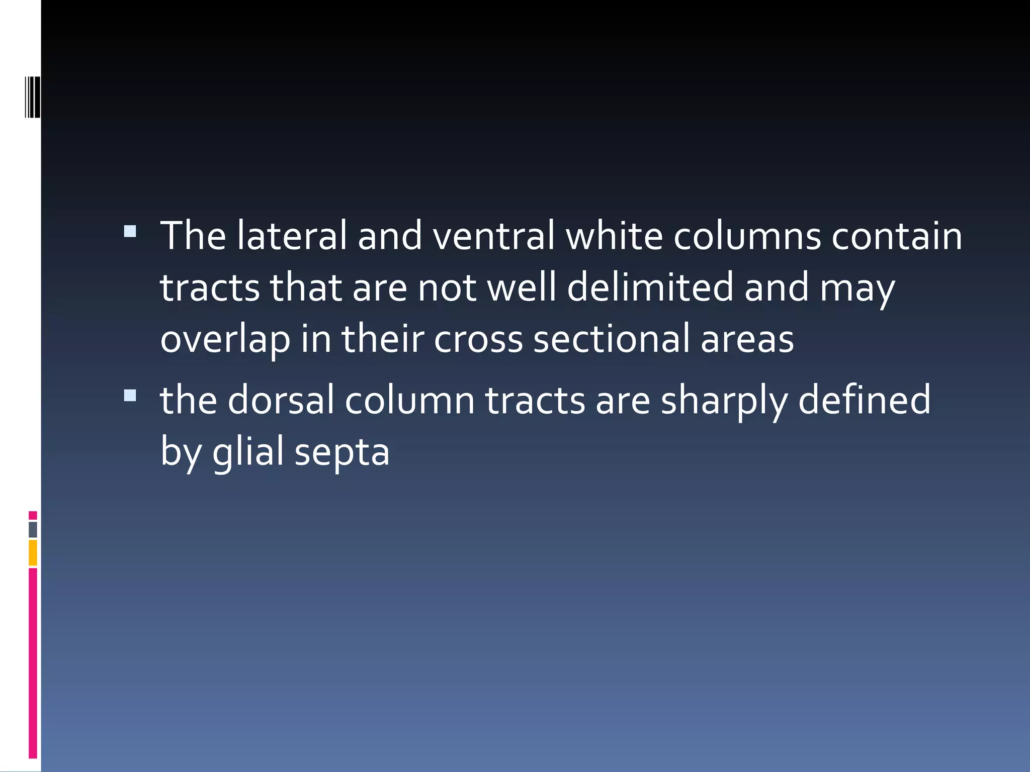 Spinal cord by DR.ARSHAD | PPT