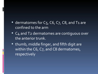 Spinal cord by DR.ARSHAD | PPT