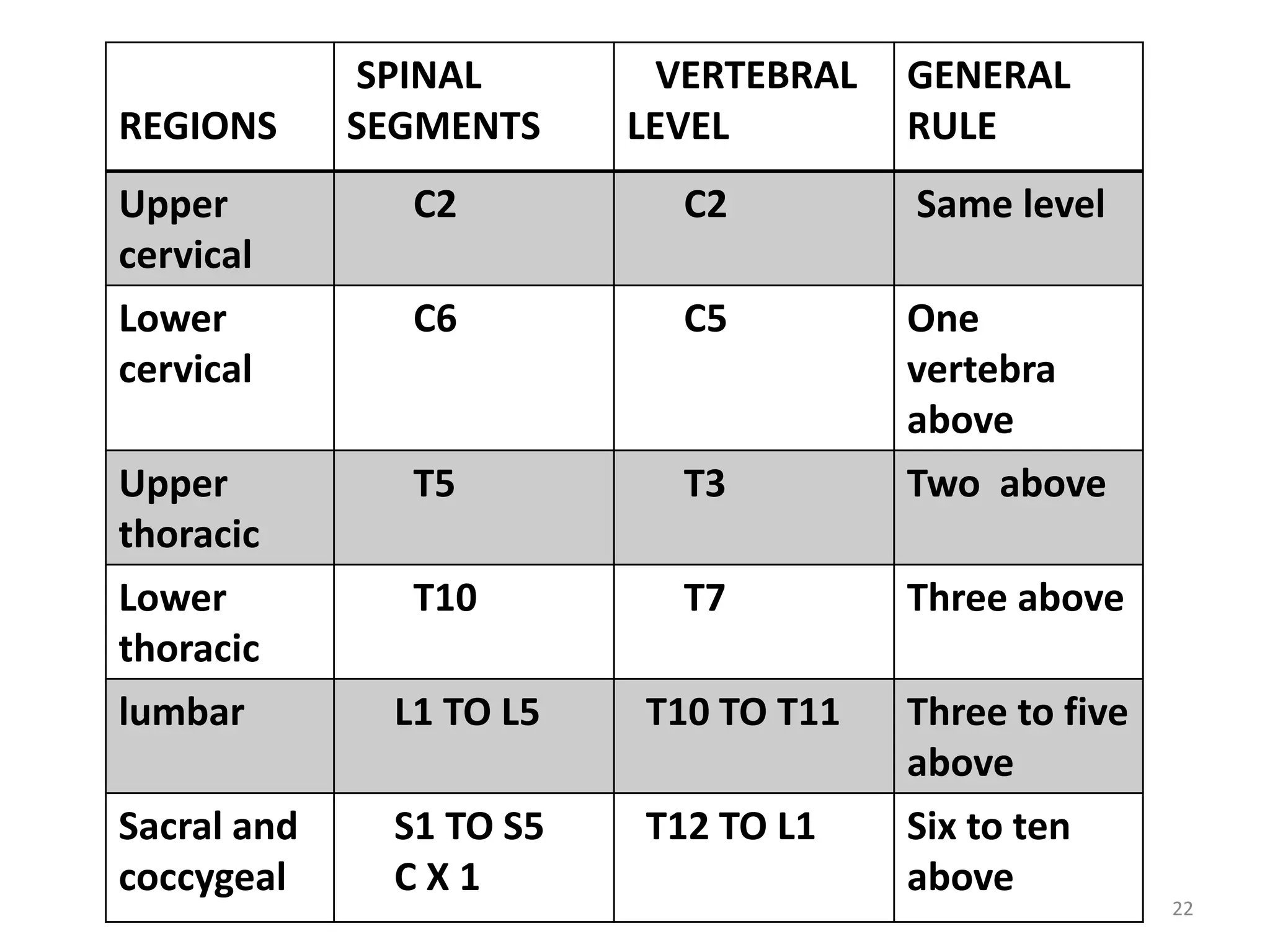 Spinal cord (2) | PDF