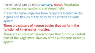 Spinal Cord .pptx how to know the detail of spinal cord | PPTX