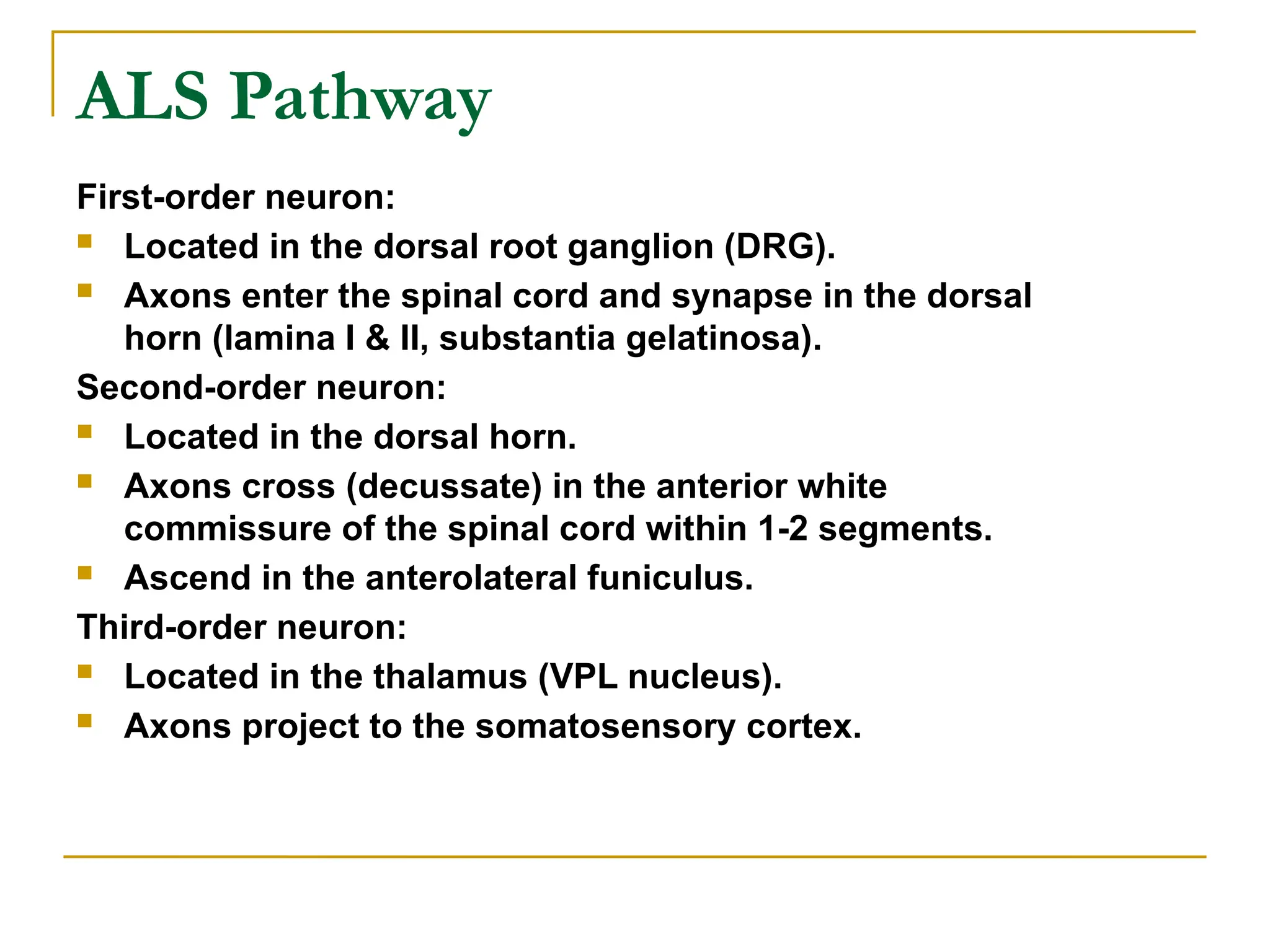 Spinal cord anatomy detailed review.pptx