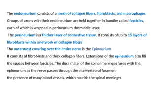 Anatomy and Physiology of Spinal cord .pptx
