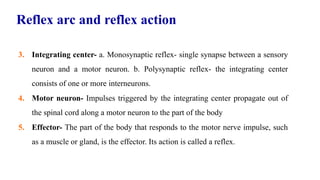 Anatomy and Physiology of Spinal cord .pptx