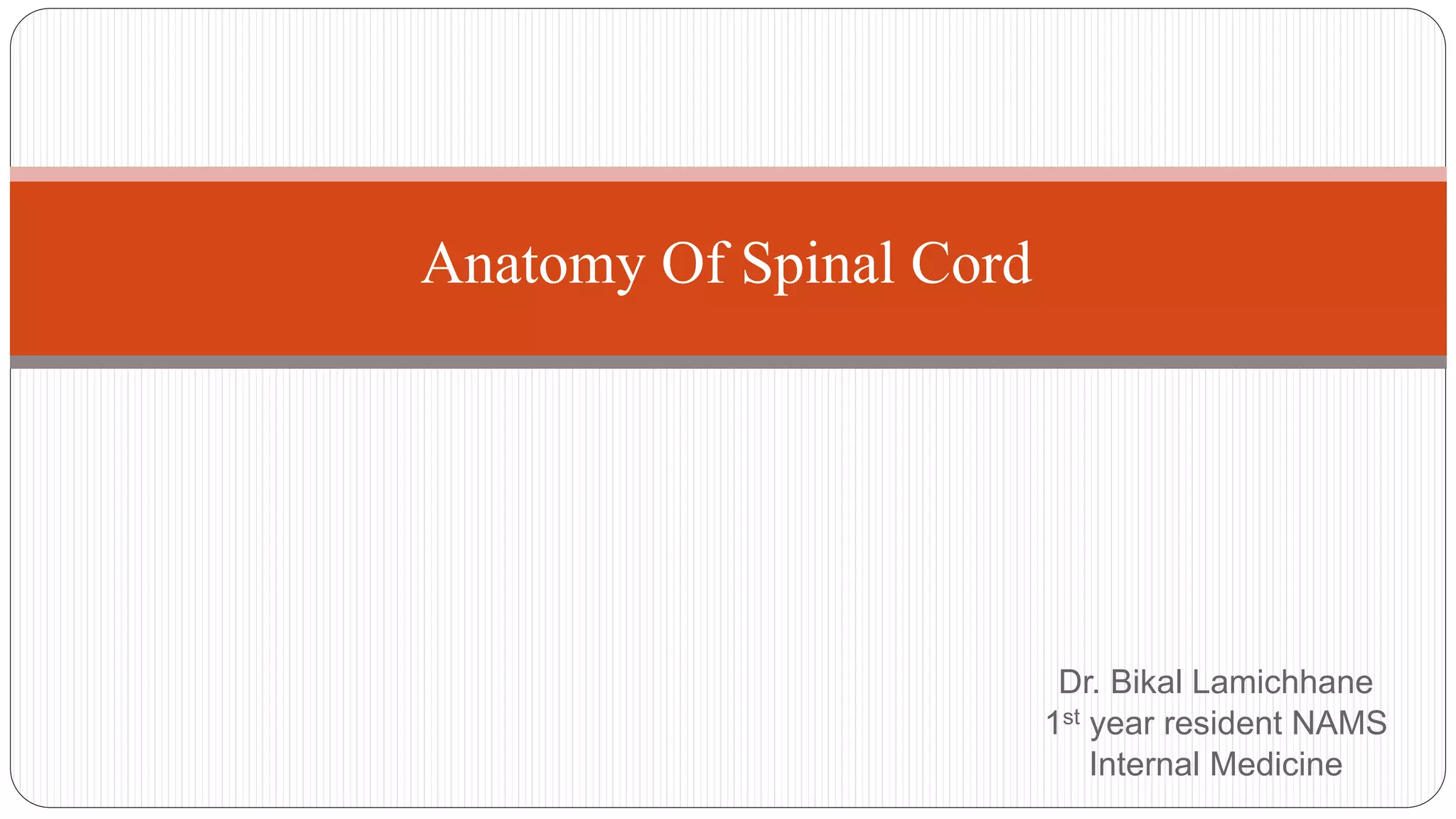 Spinal cord anatomy | PPTX