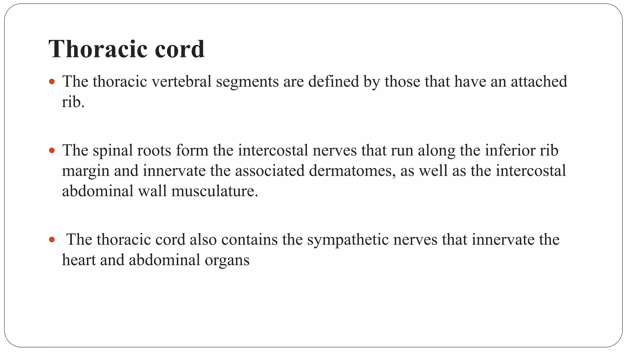 Spinal cord anatomy | PPTX