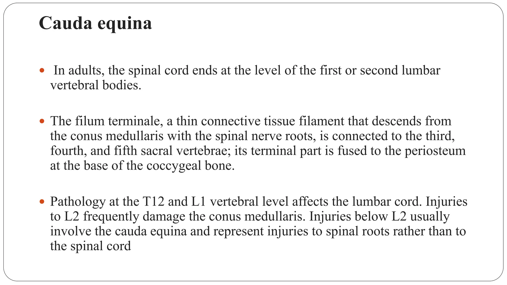 Spinal cord anatomy | PPTX