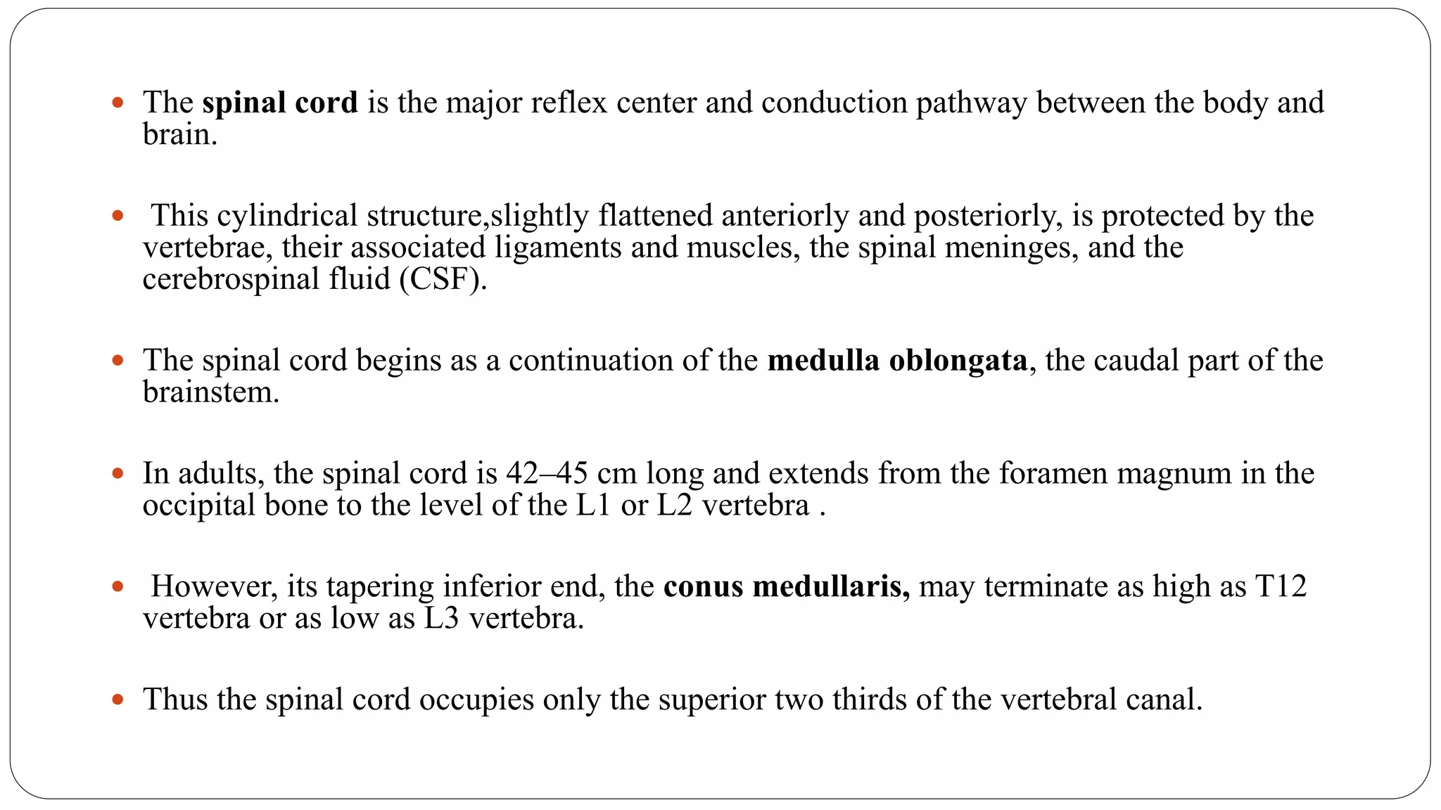 Spinal cord anatomy | PPTX