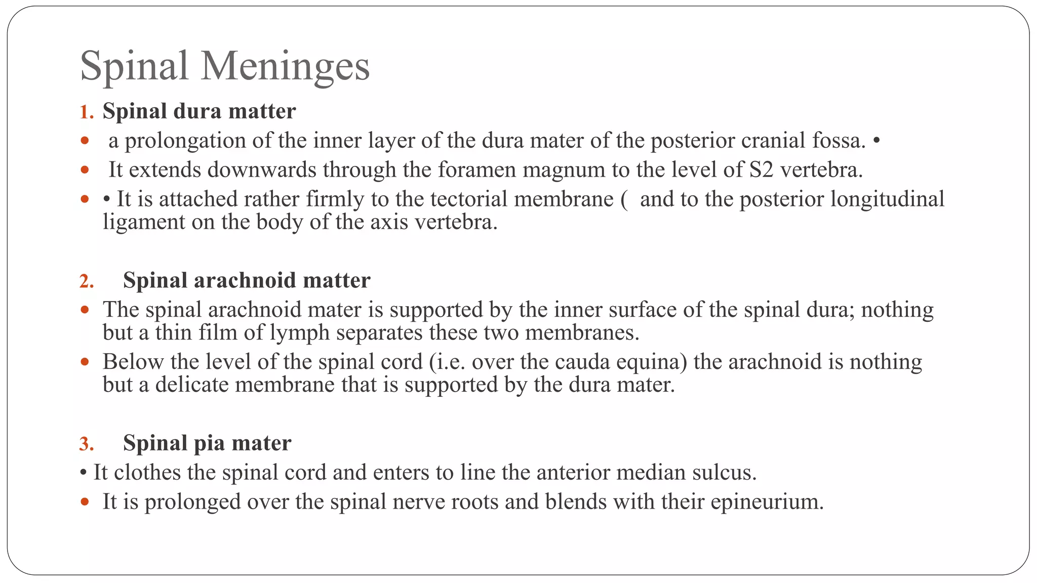 Spinal cord anatomy | PPTX