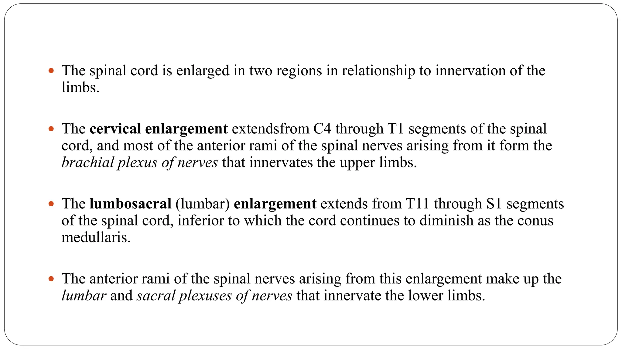 Spinal cord anatomy | PPTX
