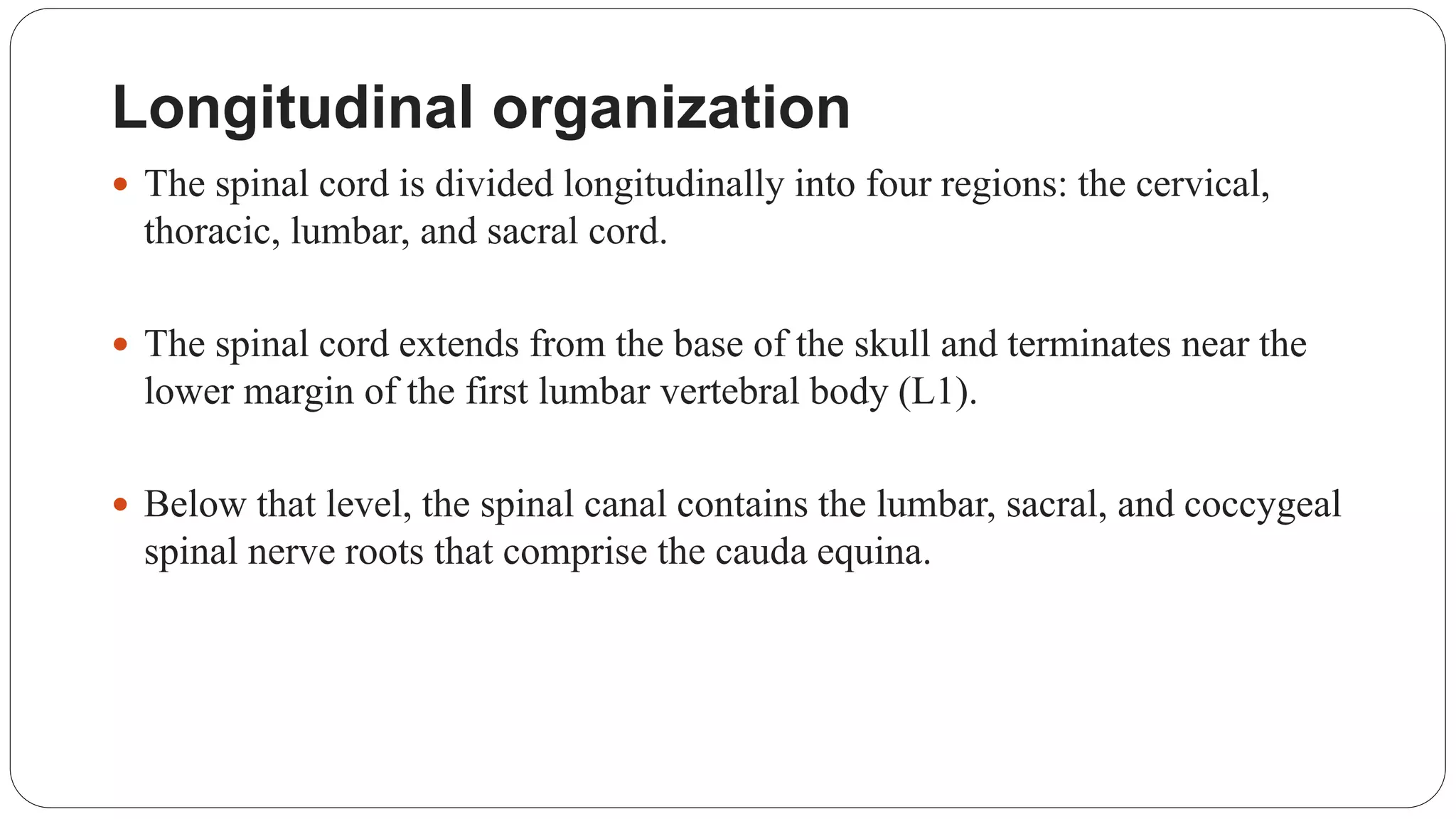 Spinal cord anatomy | PPTX