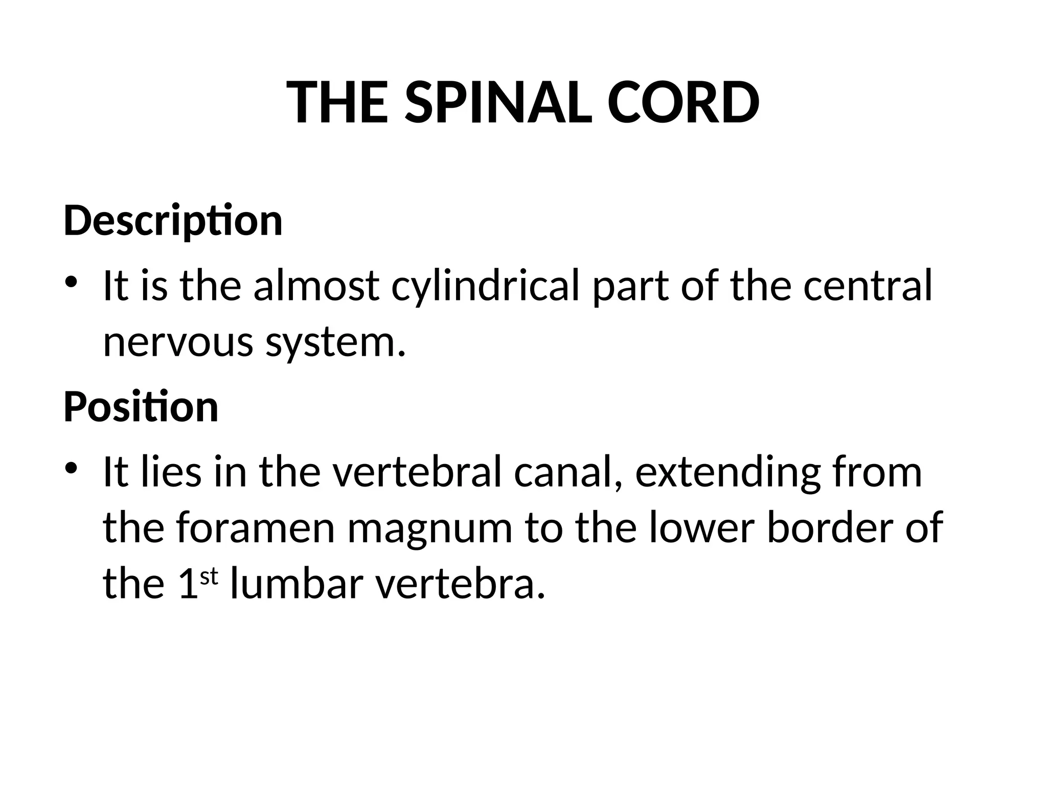 SPINAL CORD AND PERIPHERAL NERVOUS SYSTEM.pptx