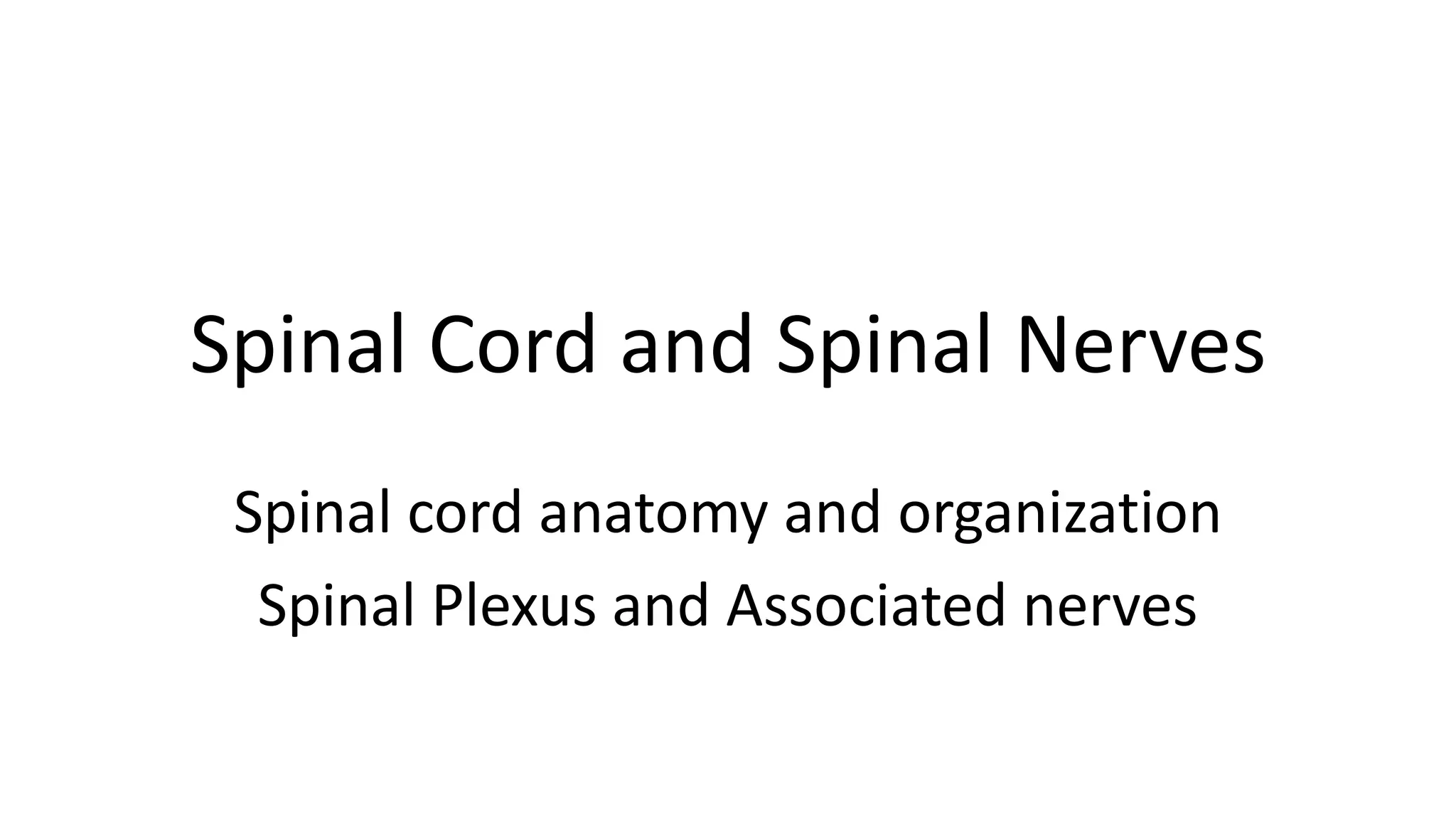 Spinal cord and spinal nerves | PPT