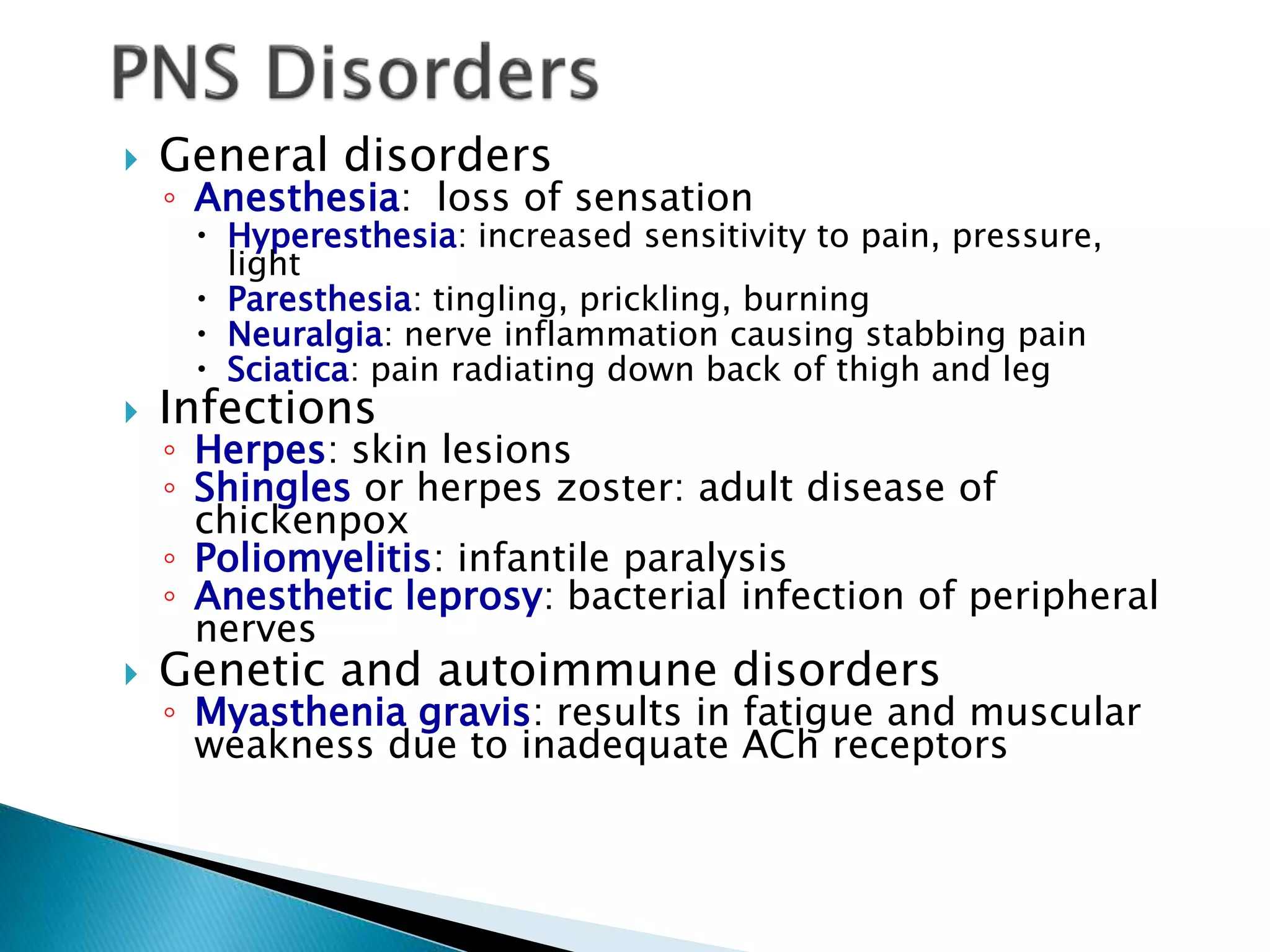spinal cord and spinal nerves.ppt