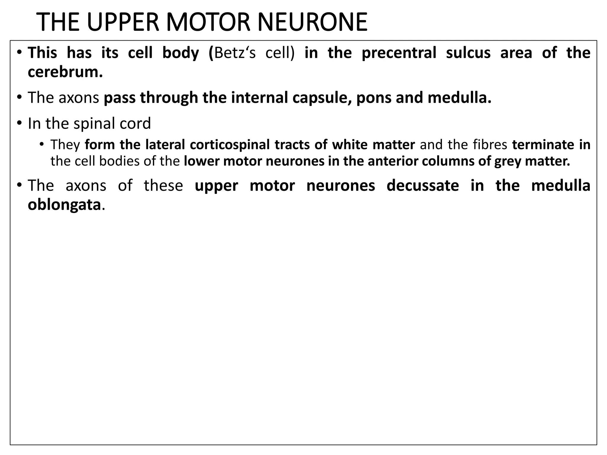 Spinal cord and spinal nerves | PPTX