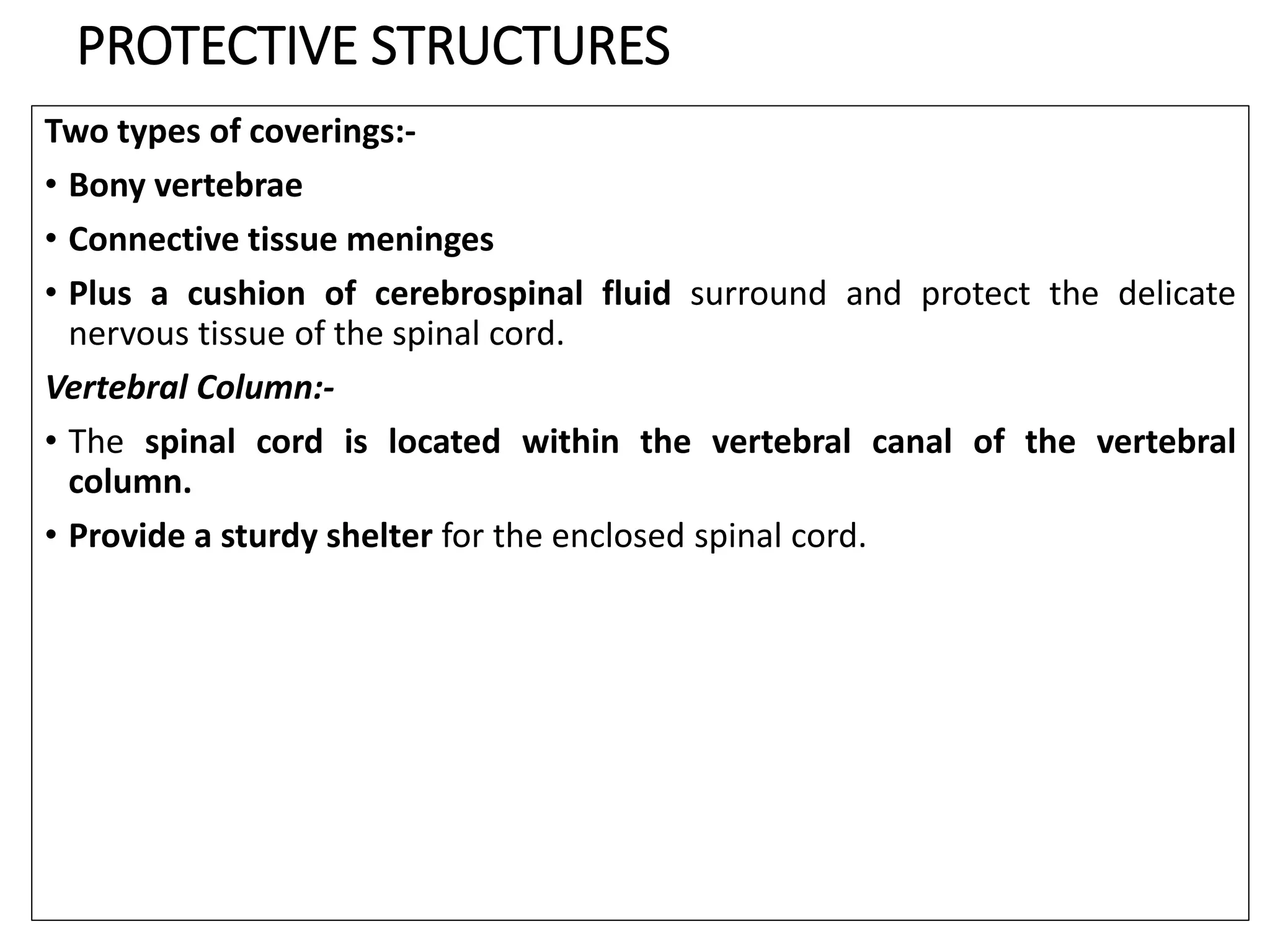 Spinal cord and spinal nerves | PPTX