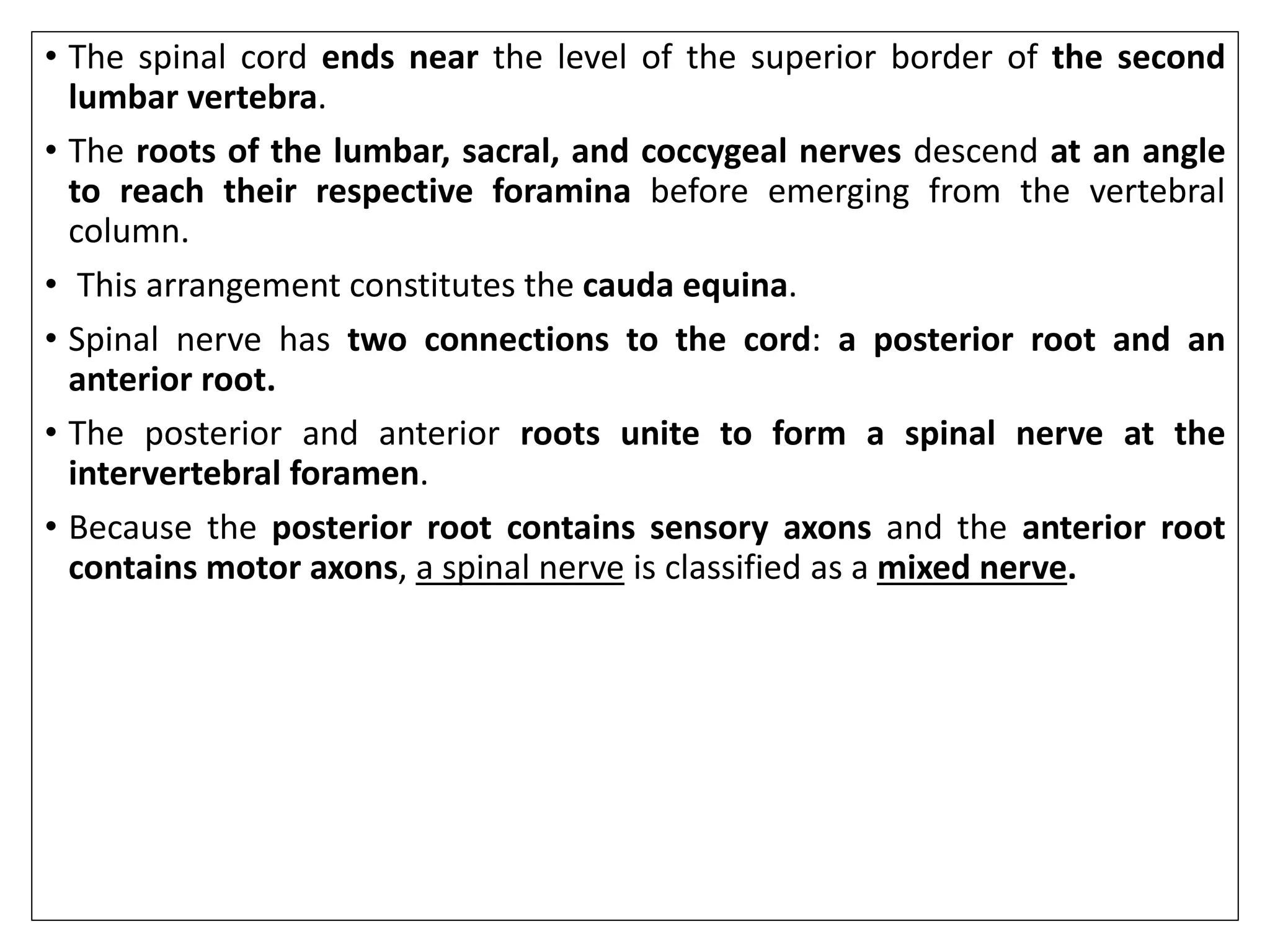 Spinal cord and spinal nerves | PPTX