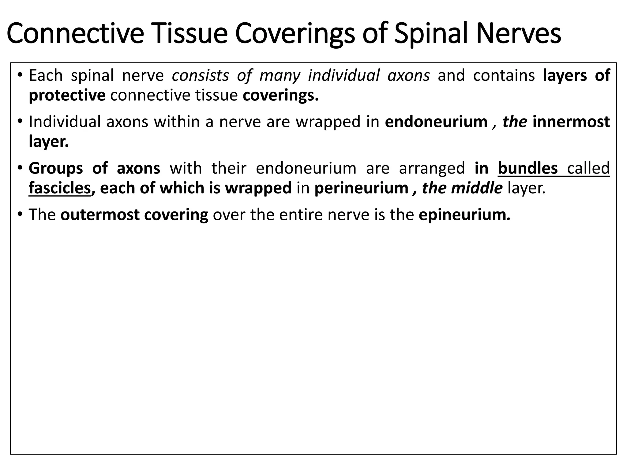 Spinal cord and spinal nerves | PPTX