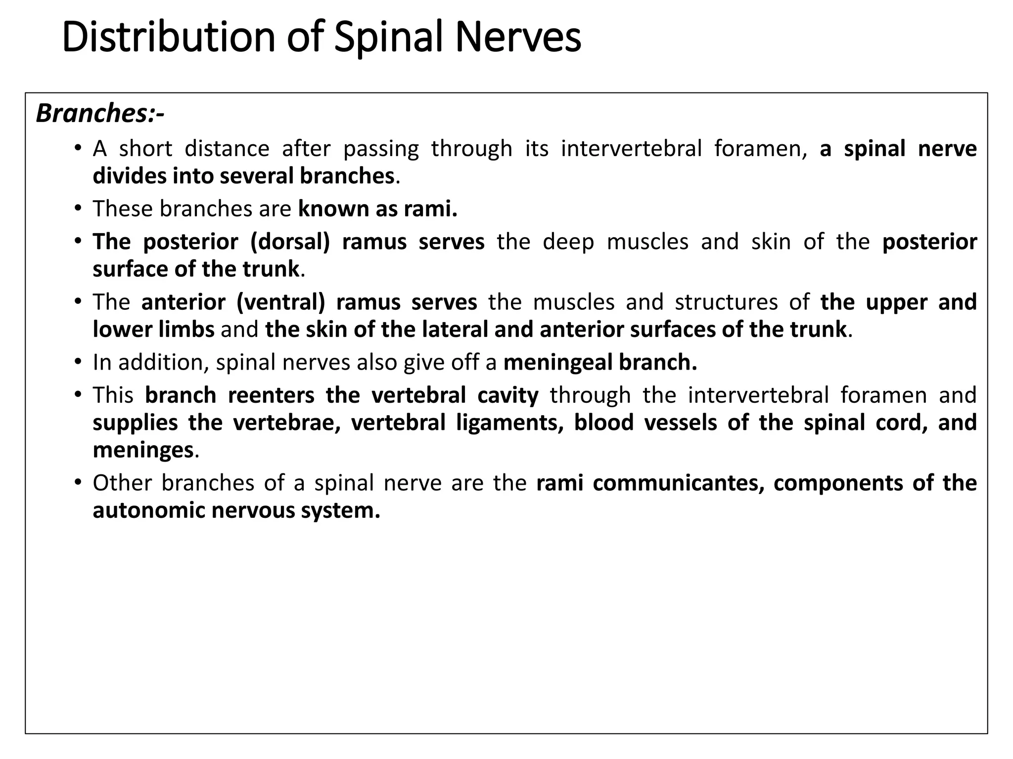Spinal cord and spinal nerves | PPTX