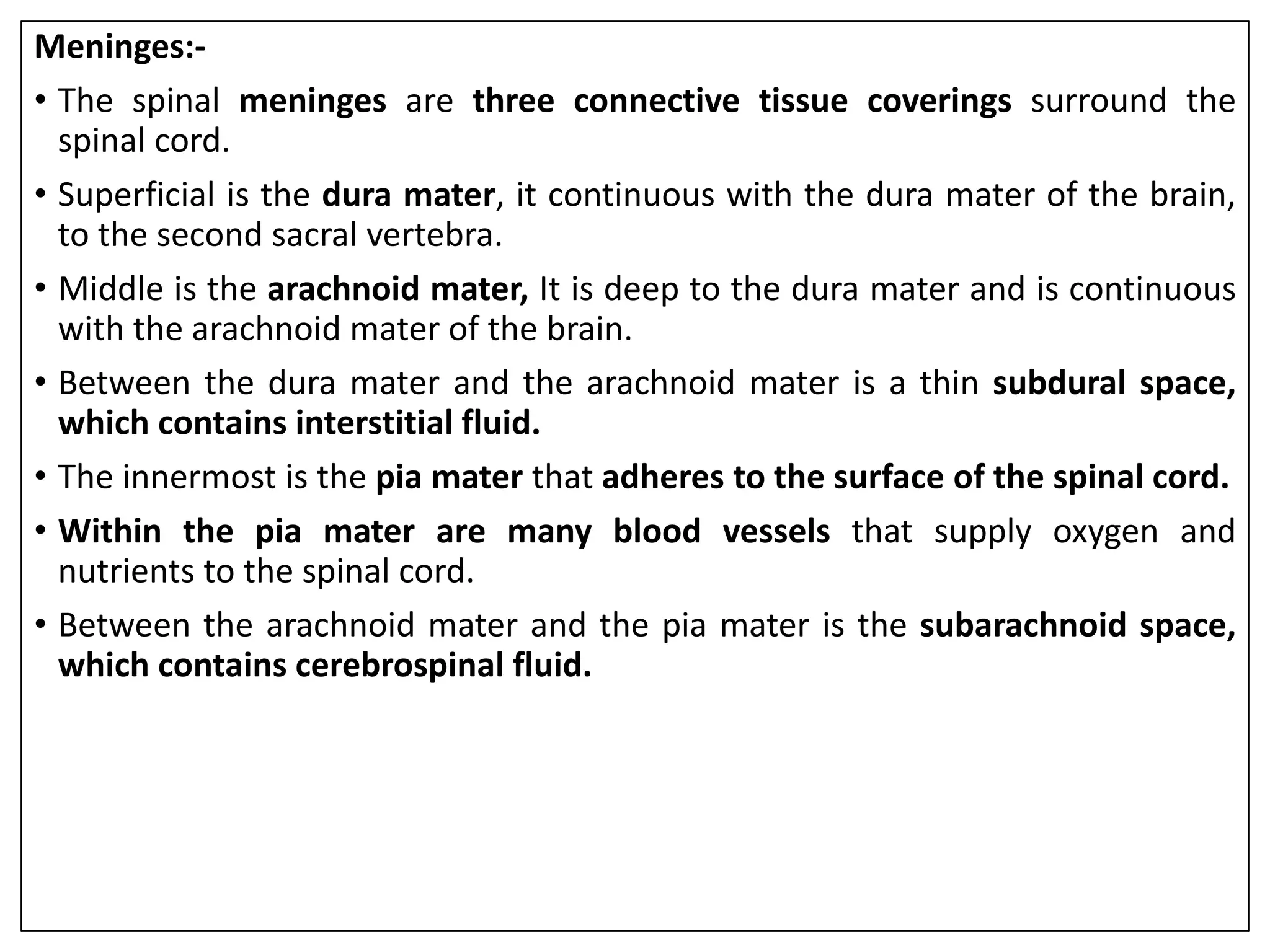 Spinal cord and spinal nerves | PPTX