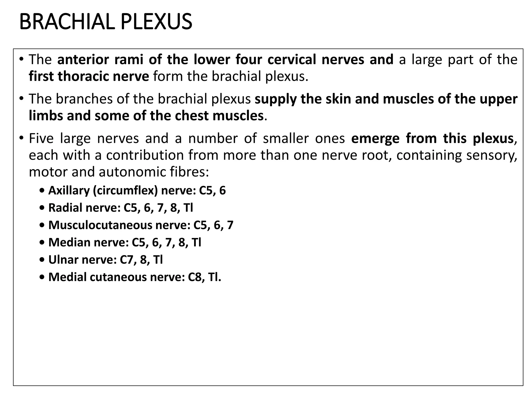 Spinal cord and spinal nerves | PPTX