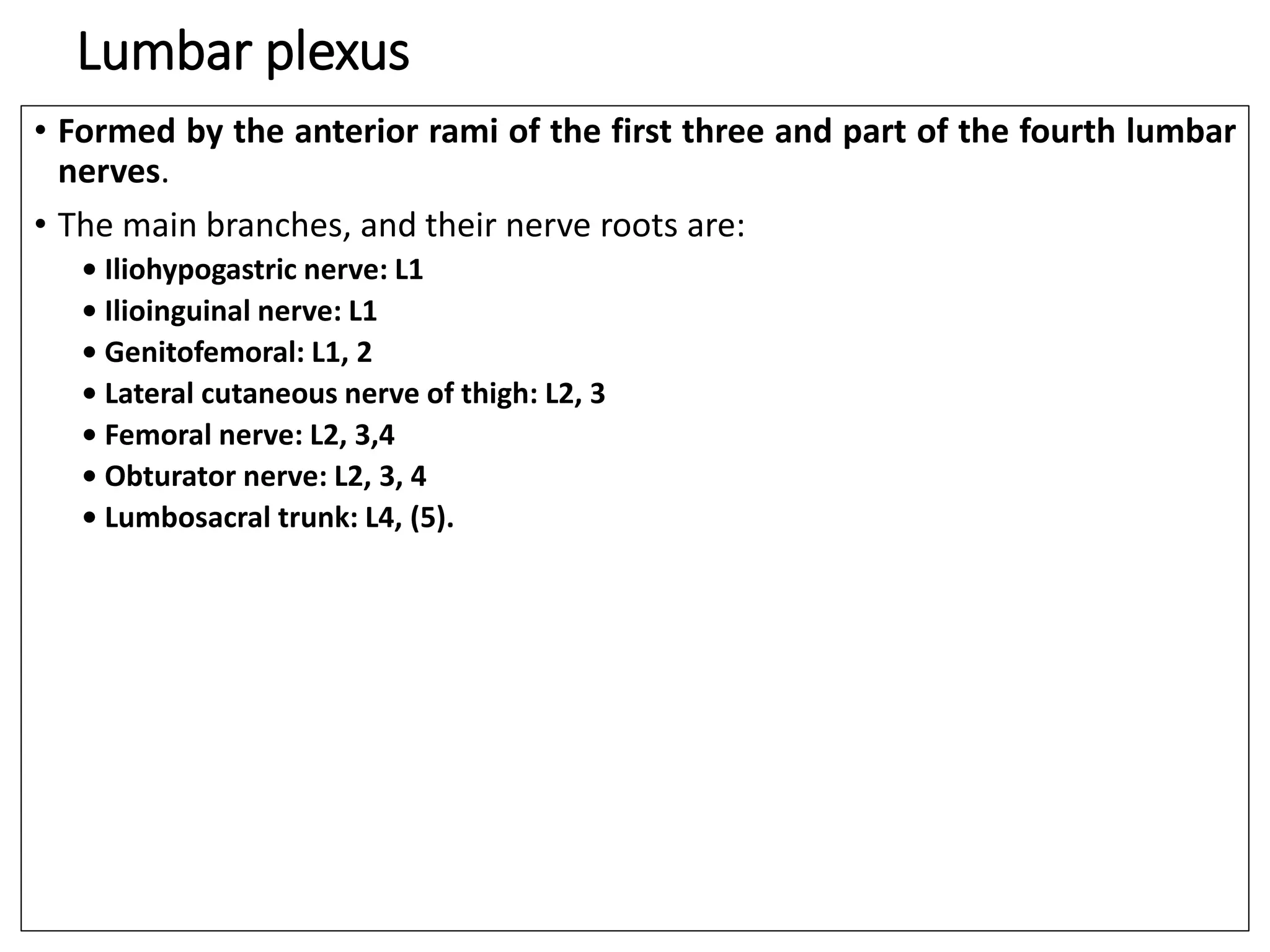 Spinal cord and spinal nerves | PPTX