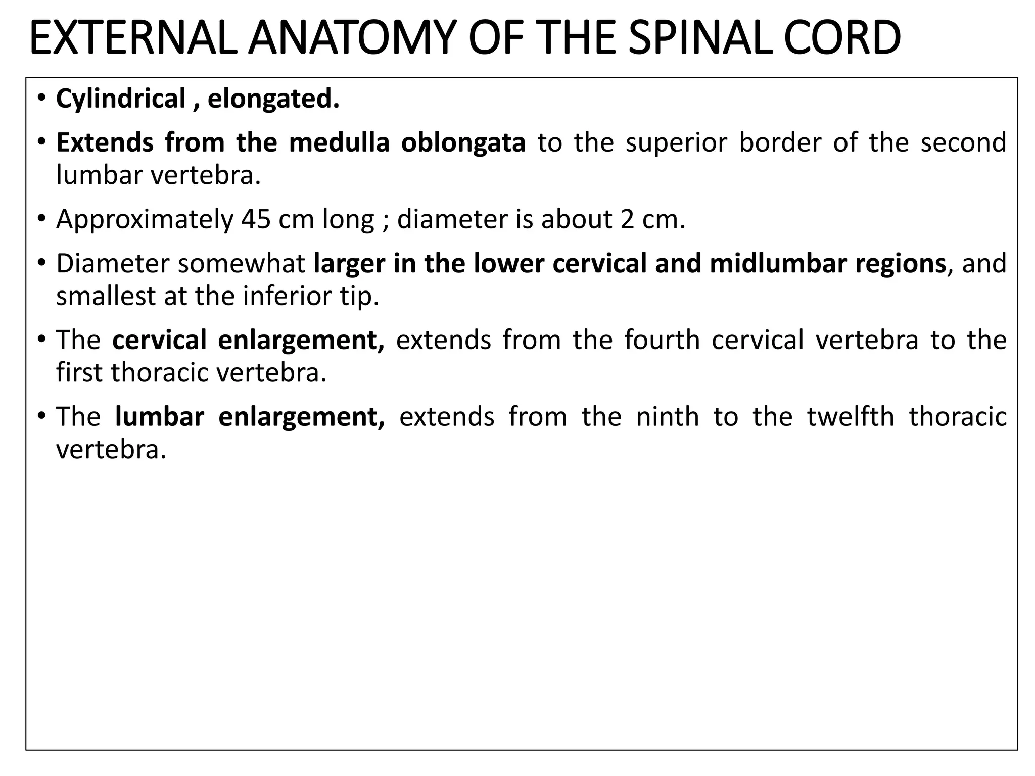 Spinal cord and spinal nerves | PPTX