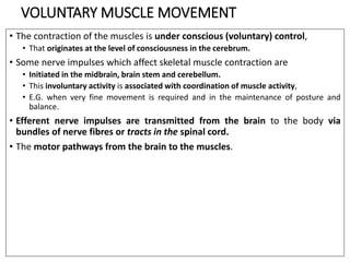 Spinal cord and spinal nerves | PPTX