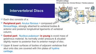 Spinal Cord and Vertebral Canal by Dr. Rabia Inam Gandapore.pptx