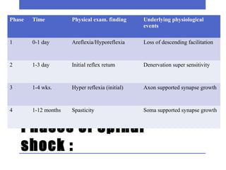 Diseases of Spinal Cord | PPT