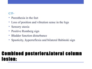 Diseases of Spinal Cord | PPT