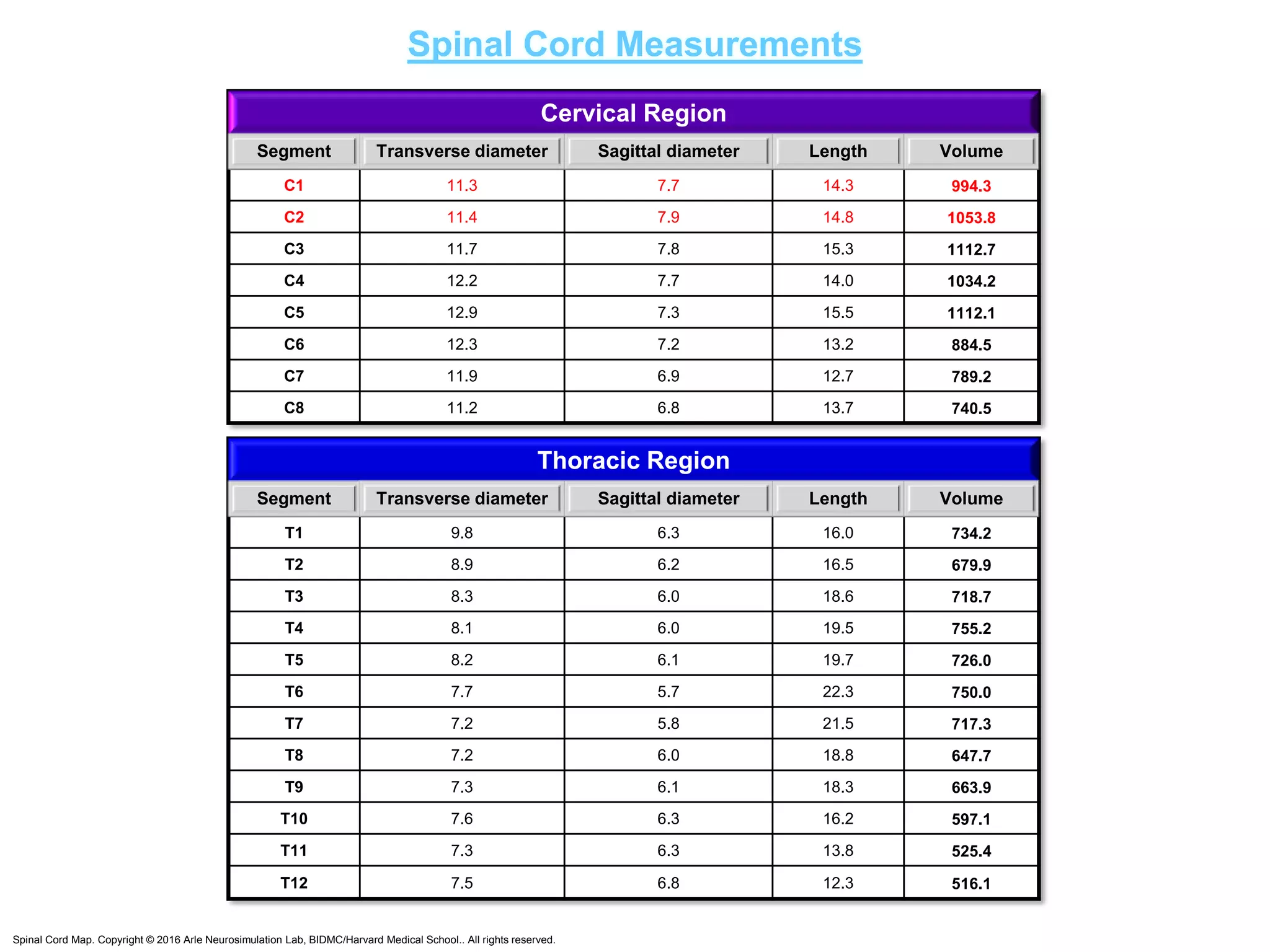 Spinal Cord Connectome Part 1 | PDF