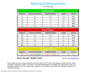 Spinal Cord Connectome Part 1 | PDF
