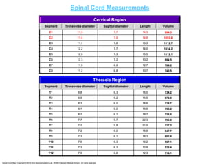 Spinal Cord Connectome Part 1 | PDF